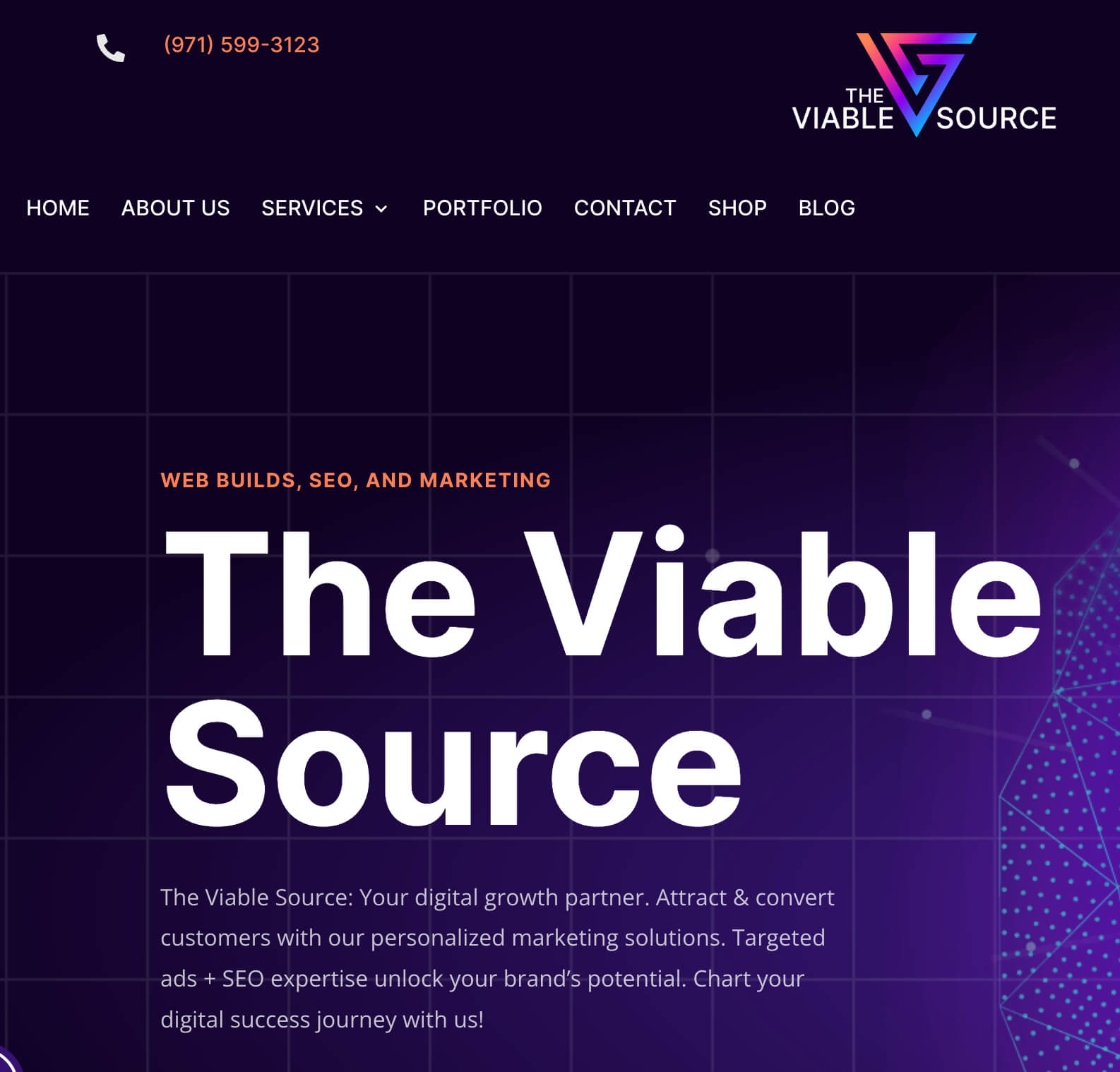 Portfolio - The Viable Source