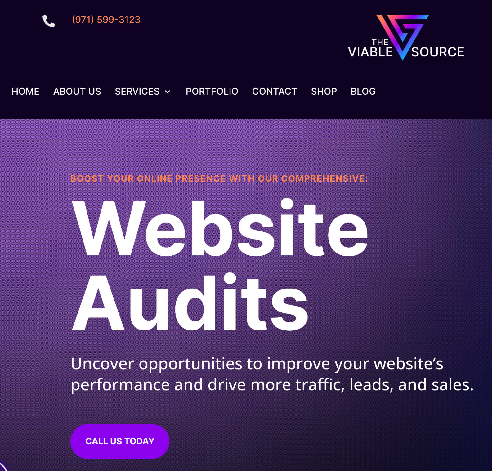 Website Audits - The Viable Source